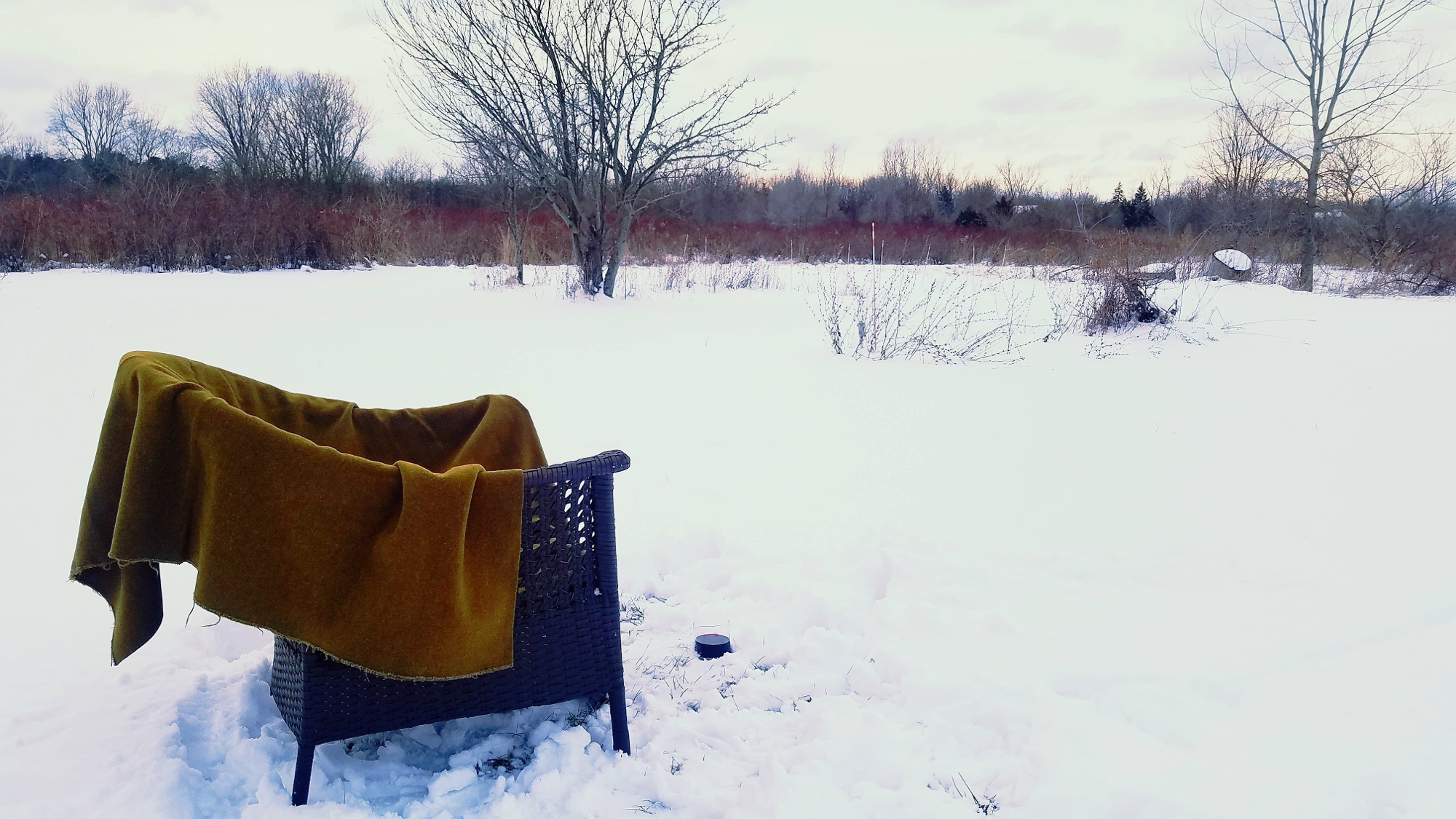 the winter, she quiets – the limineen | earthling, poet & crone