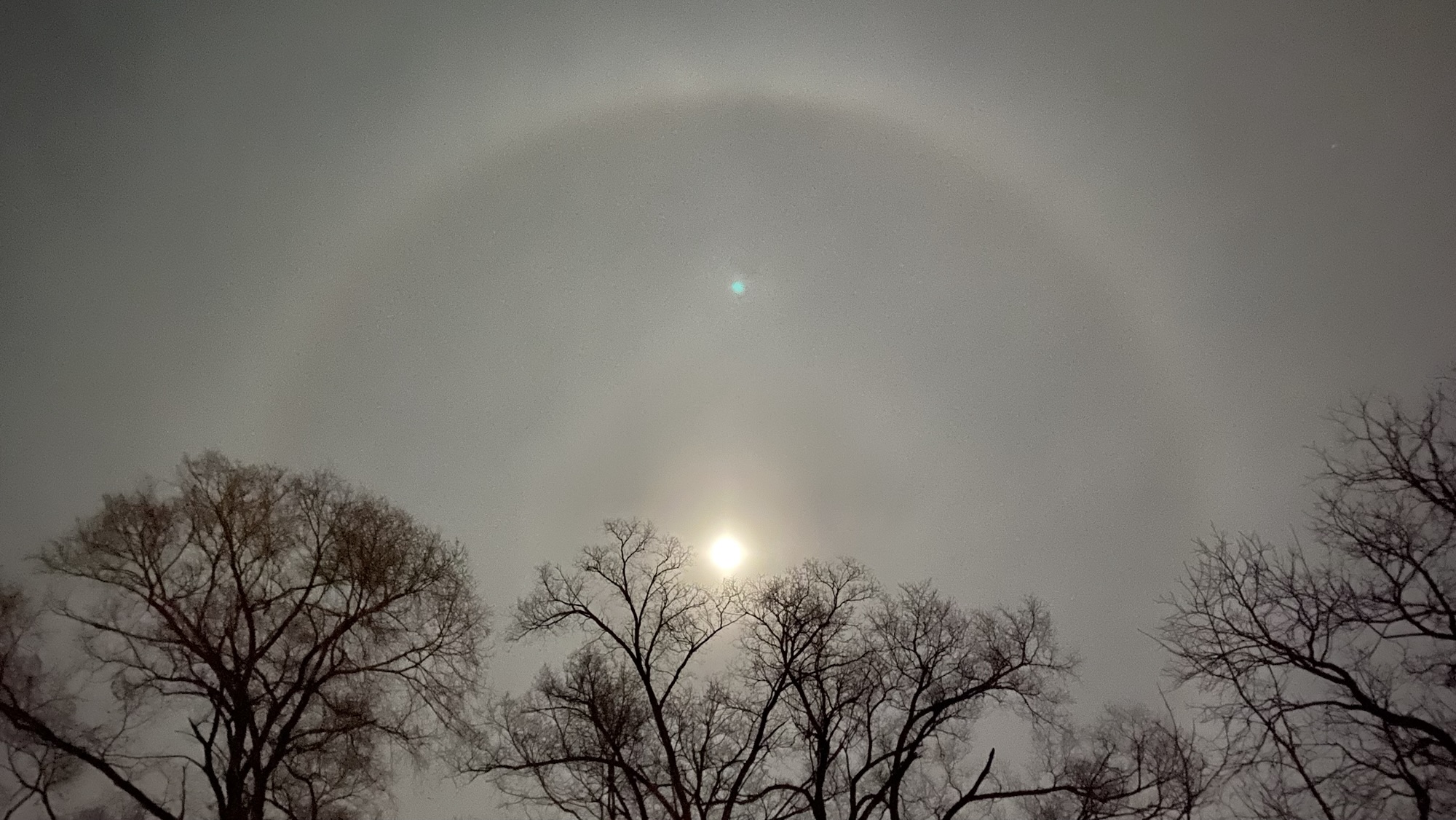 Moon Dog – the limineen | earthling, poet & crone