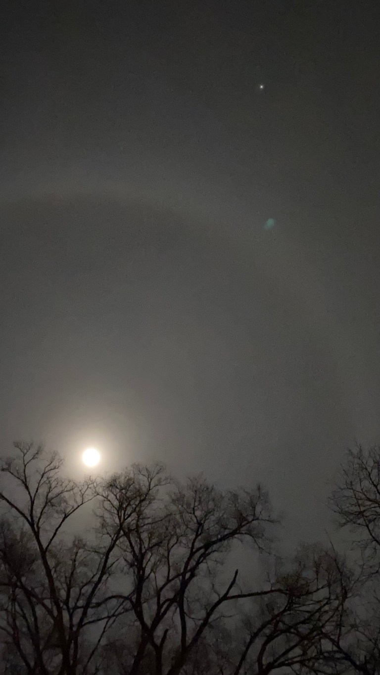 Moon Dog – the limineen | earthling, poet & crone